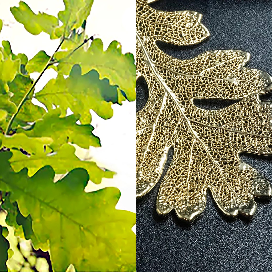 Real Oak Tree Leaf Pendant Necklace Dipped in Fine Silver or | Etsy