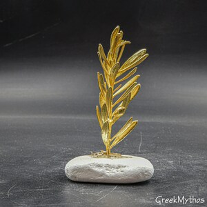 Gold Olive Tree Branch on White Marble, Real Natural Olive Tree Branch ...