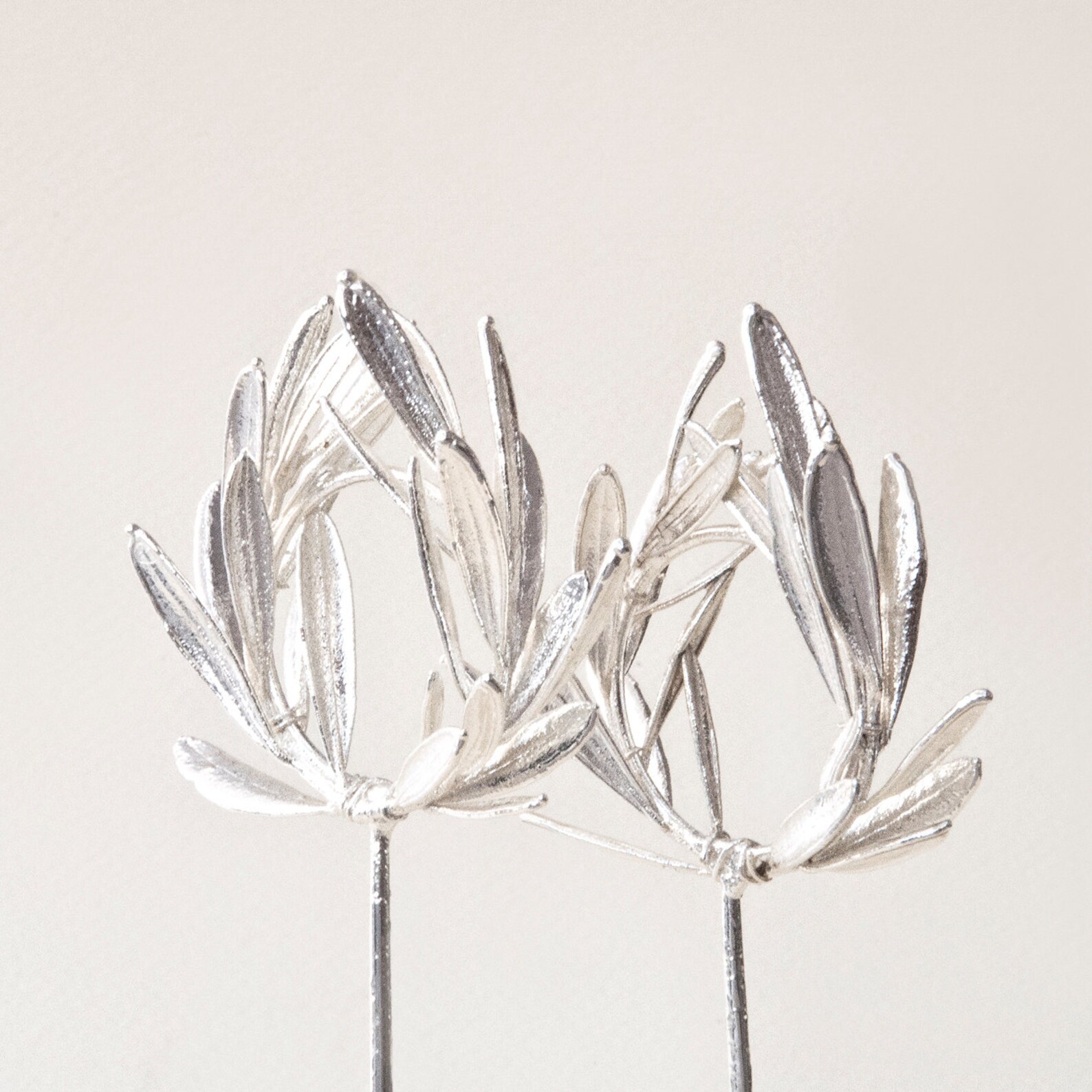 Silver Olive Tree Wreath Real Natural Olive Tree Branch | Etsy