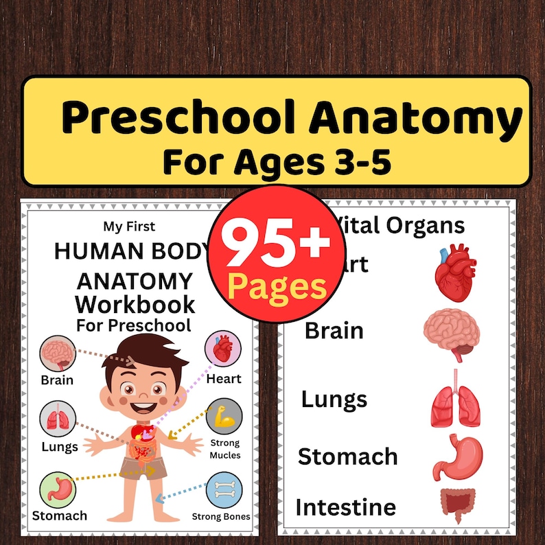 Human Anatomy Busy Book for Preschool | Body Parts & Organs Worksheets ...