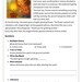 Grade 2 Reading Comprehension | Fiction Stories & Questions (PDF) - Etsy