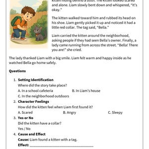 Grade 2 Reading Comprehension | Fiction Stories & Questions (PDF) - Etsy