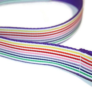 Girls Rainbow Belt Rainbow Ribbon Belt Girls Rainbow D Ring Belt ...