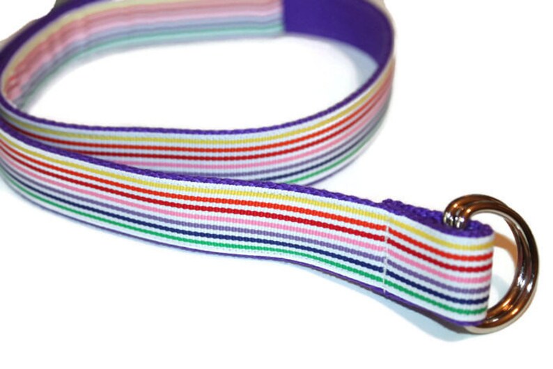 Girls Rainbow Belt Rainbow Ribbon Belt Girls Rainbow D Ring | Etsy
