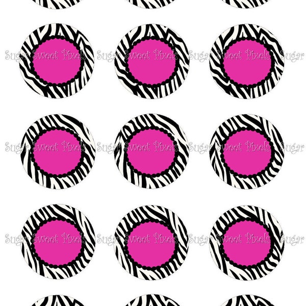 Hot Pink and Zebra - Etsy