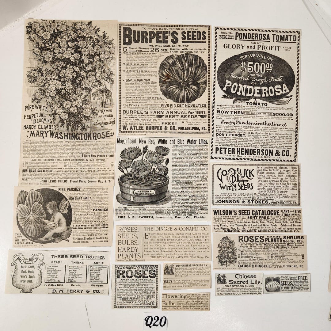 15 Antique Magazine Ads Farm and Garden 1890s Womens Magazine Clippings ...