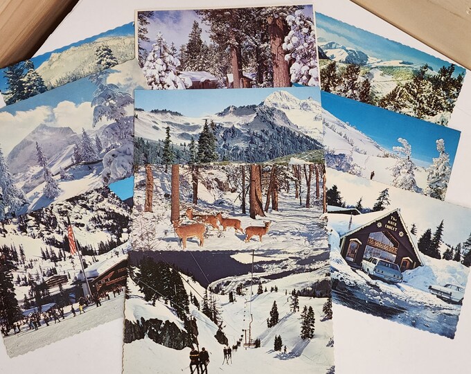 10 Souvenir Postcards Snow Scenes Winter Scenes Mountains Trees 1970's ...