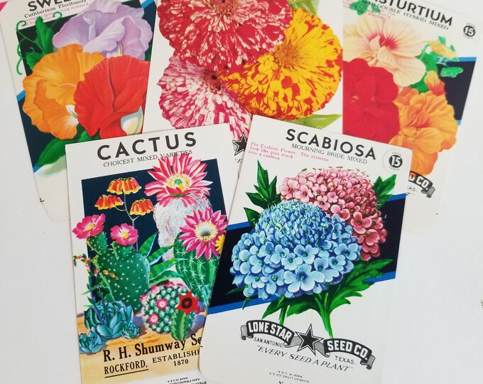 5 Colorful Flower Seed Packets Empty Unused Envelopes Spring Summer ...