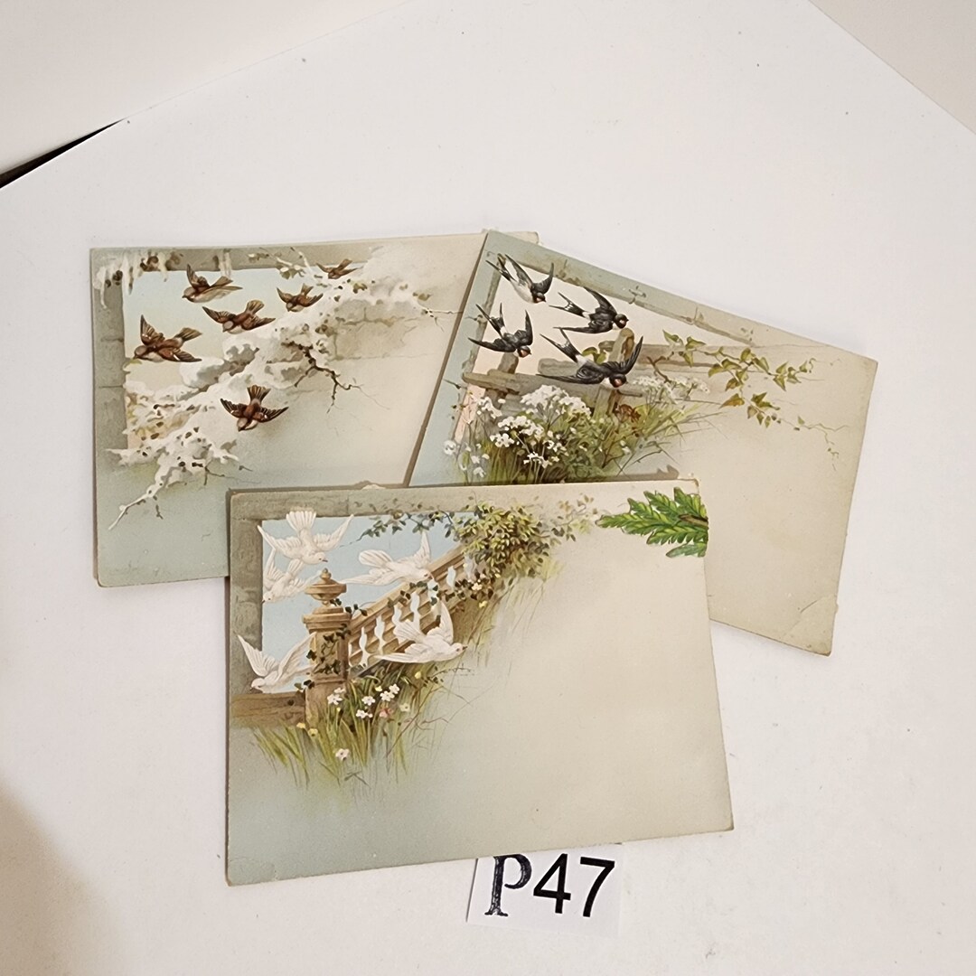 3 Victorian Card Blanks Victorian Scenes With Birds Antique Trade Cards ...