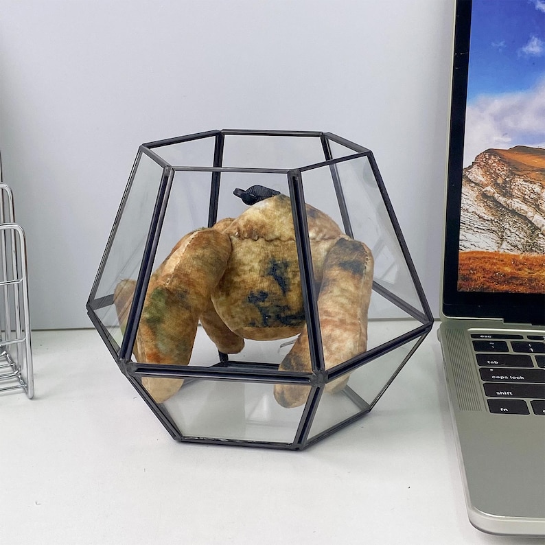 Project Hail Mary Rocky the Alien Plush Doll Protective Glass Dome ...