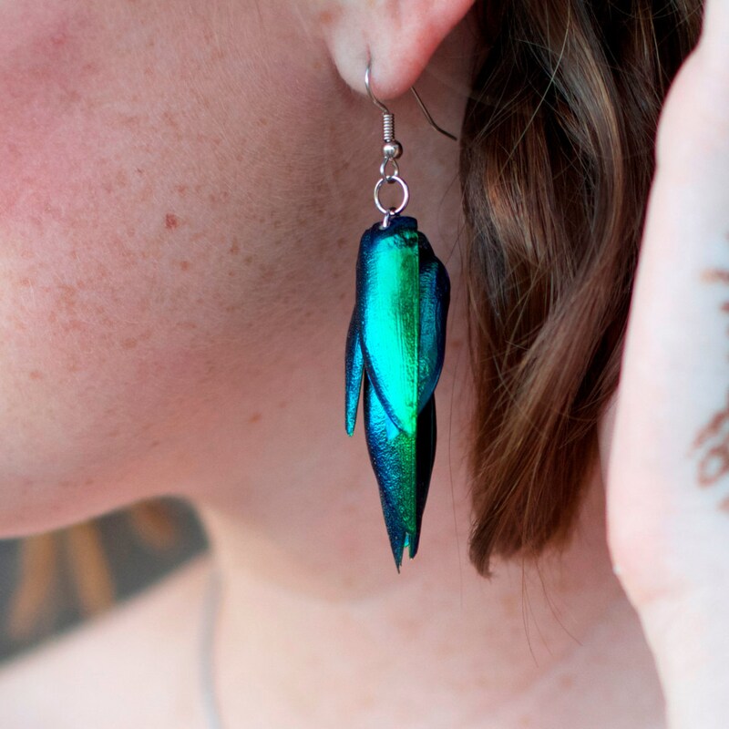 Beetle Earrings - Etsy
