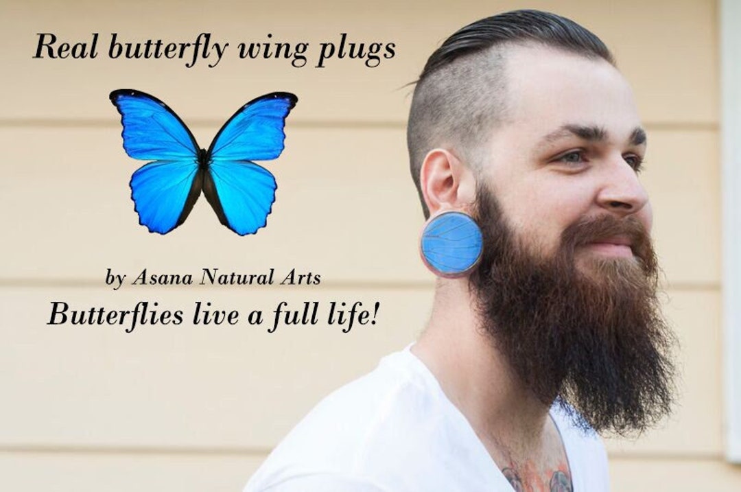 Real Butterfly Wing Plugs | Blue Morpho Butterfly Forewing Circle Plugs ...