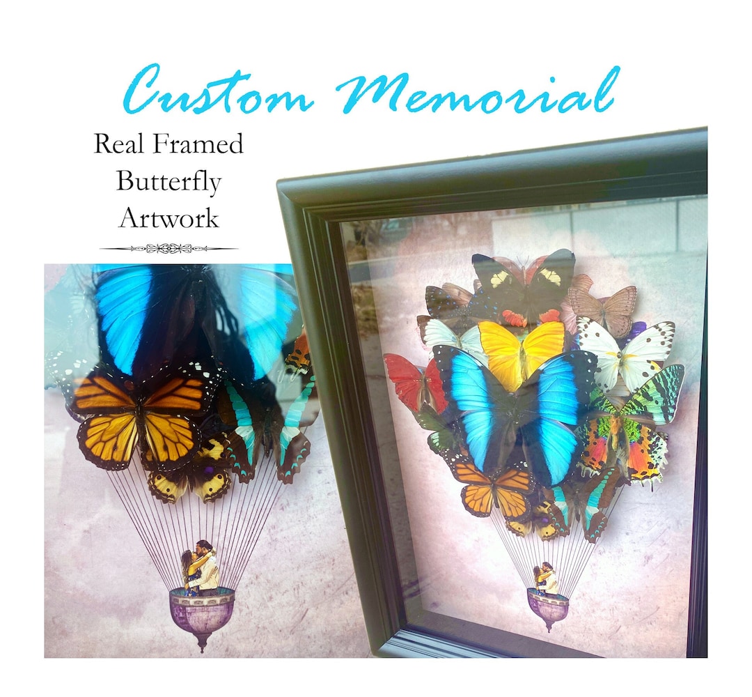 Customizable Memorial Real Butterfly Hot Air Balloon | Framed Butterfly ...