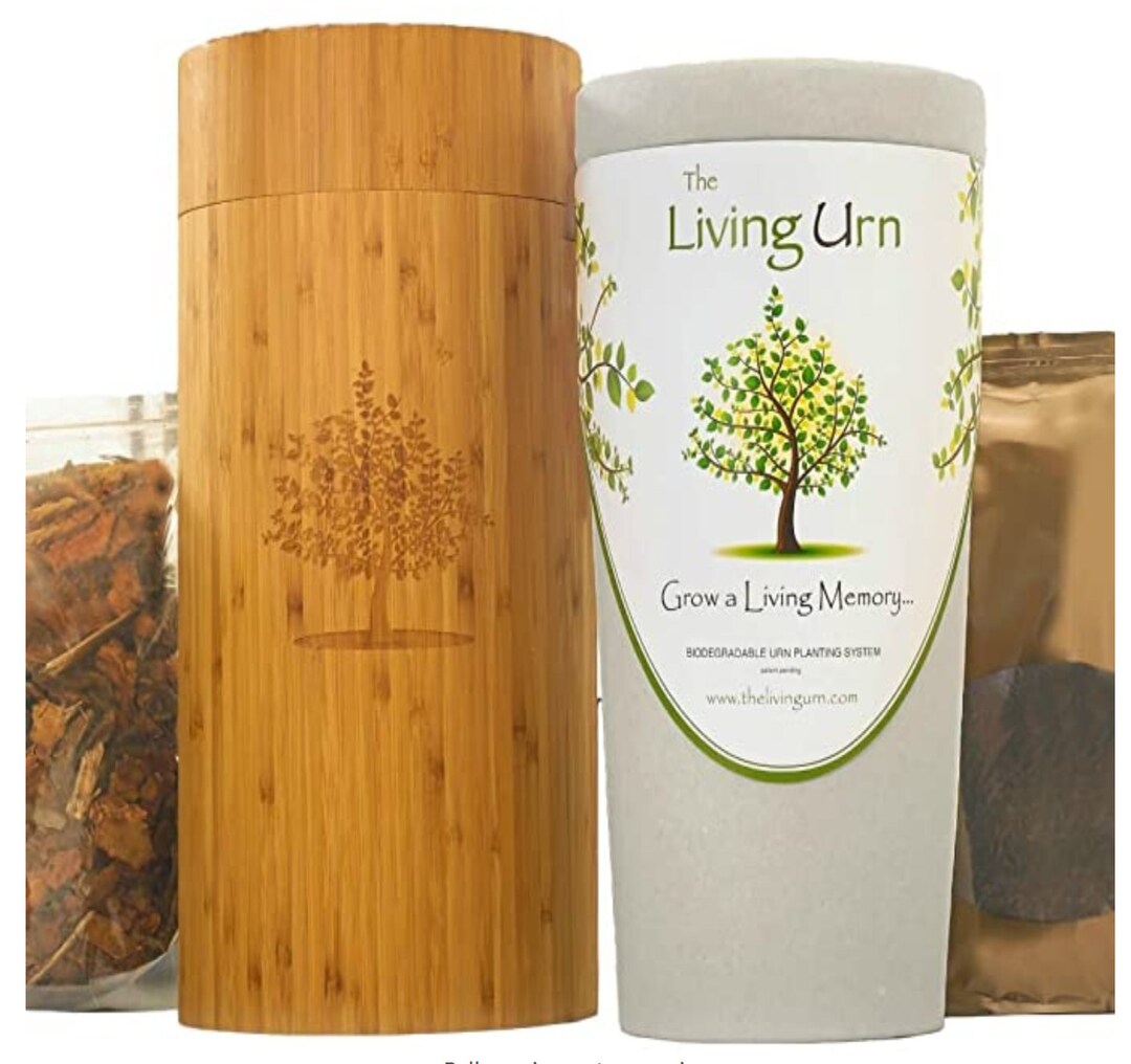 Sustainable Living Urn Zero Waste Burial Eco-friendly Urn - Etsy