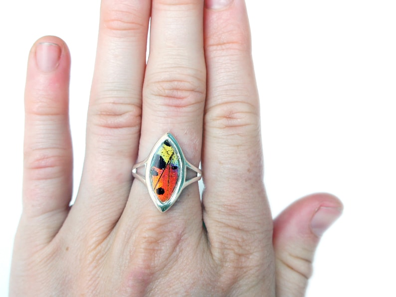 Real Butterfly Wing Ring Sterling Silver Butterfly - Etsy
