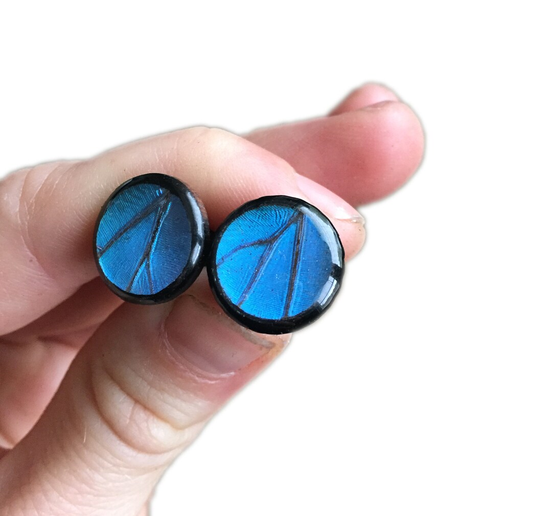 Blue Morpho Butterfly Wing Plugs: Handmade Wood Gauges (2G-00G) - Etsy