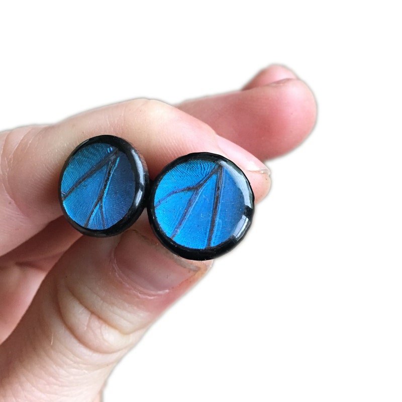 00g Plugs - Etsy