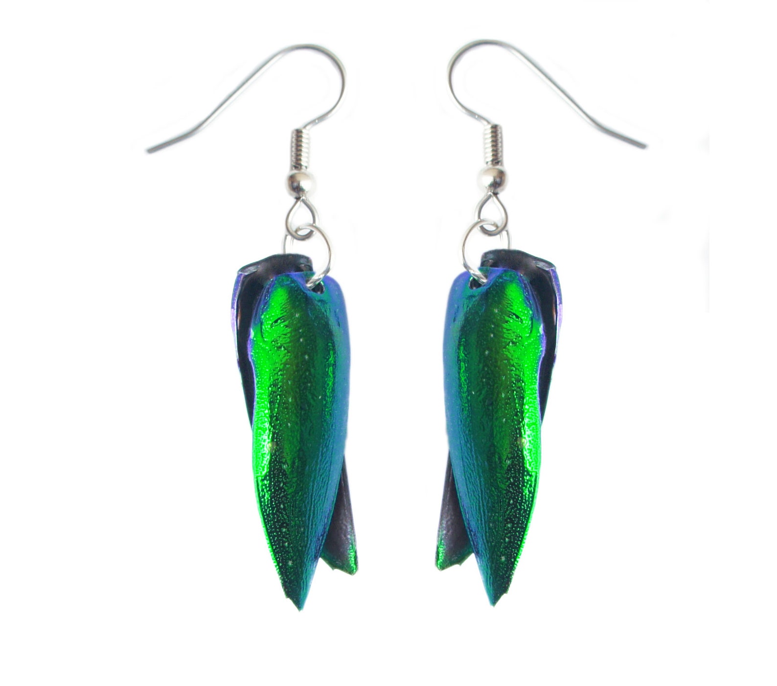 Real Beetle Wing Earrings Front and Back Real Jewel Beetle Jewelry ...