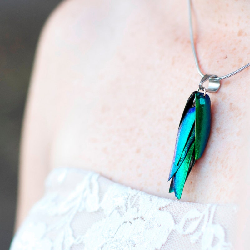 Beetle Wings - Etsy