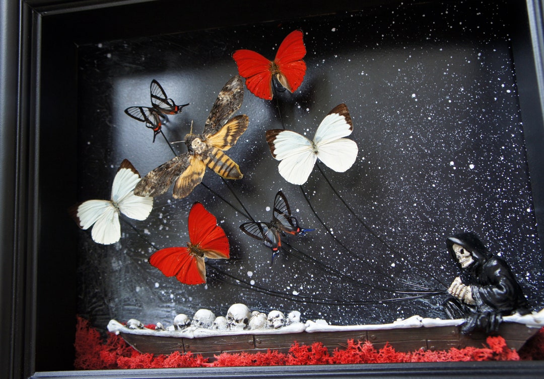 Real Death Head Moth Grim Reaper Framed Art 11 X 14 Butterfly Decor ...