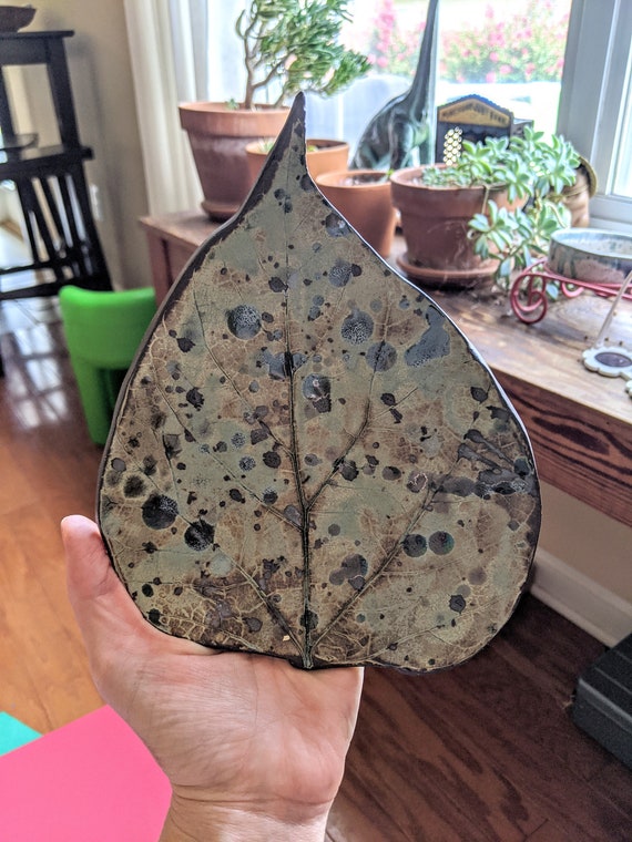 Home & Living Dining & Serving Kitchen & Dining Brown and Green Spotted ...