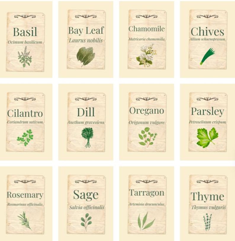 Printable Kitchen Herbs Labels -12 Vintage Apothecary Jar Labels ...