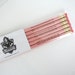 Foxy Fox Orange Set of 6 Personalized Engraved Pencils With a Fox ...
