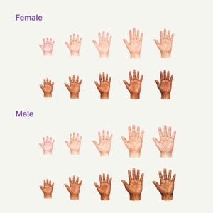 100+ Family Hands Bundle Clipart, Perfect for Nursery Decor & Family ...