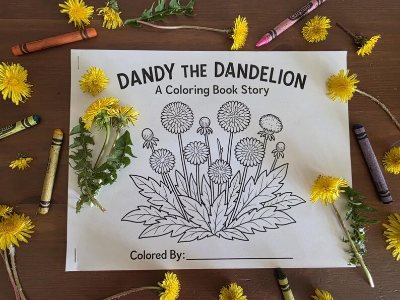 Dandelion Coloring Book Story - Etsy