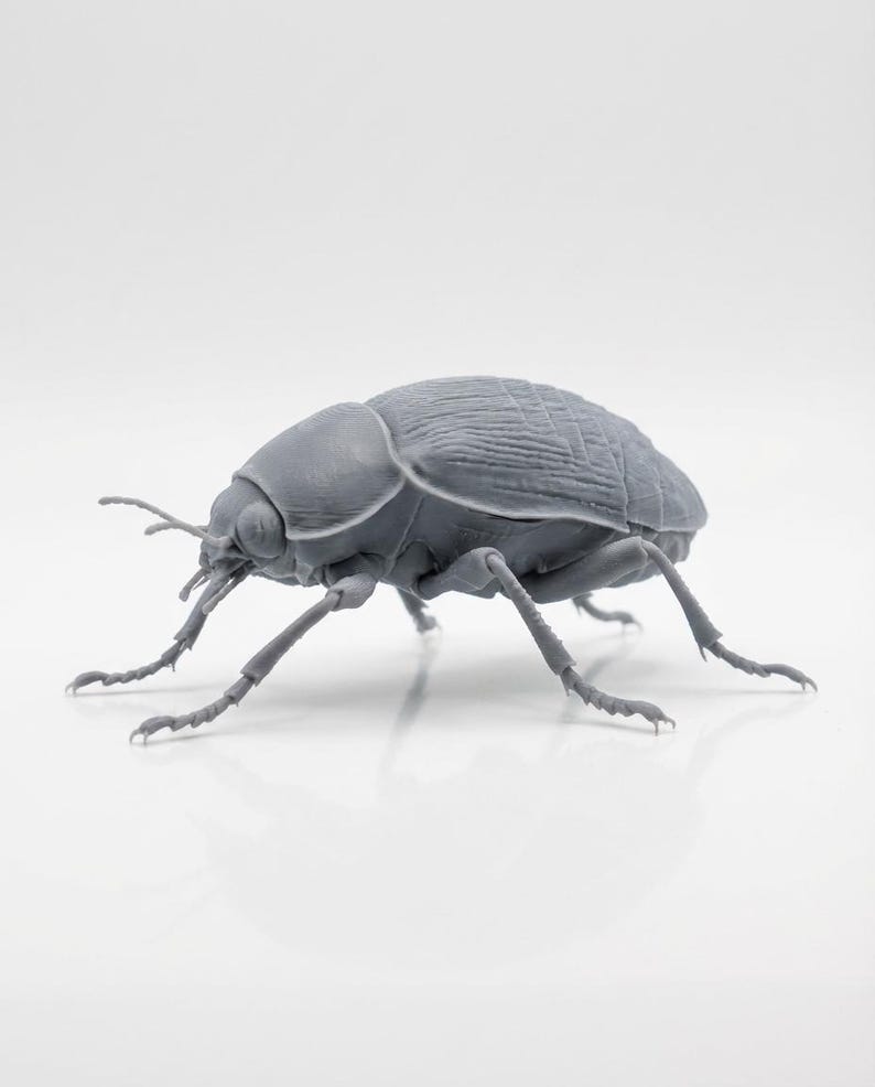 Realistic Beetle STL | Insect 3D Model for Resin Printing | Collectible ...