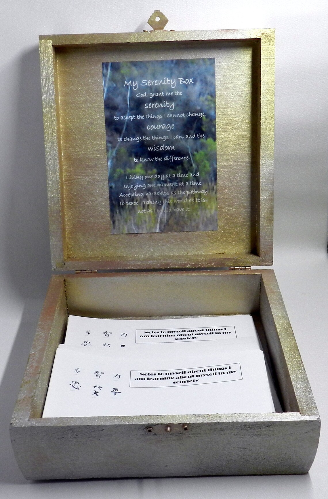 Serenity Box-a Tool for Sobriety - Etsy