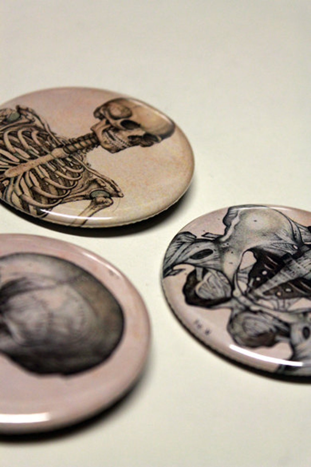 Skeleton, Pelvis, Skull Pinback Button 2.25 Inch Halloween - Etsy Canada