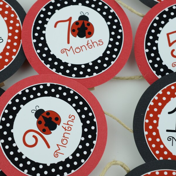 Ladybug Banner - Etsy