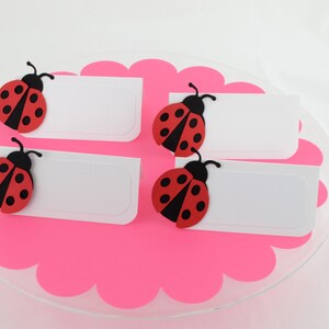 Lady Bug Tent Place Card, Food Labels, Lady Bug Theme, Buffet Food ...