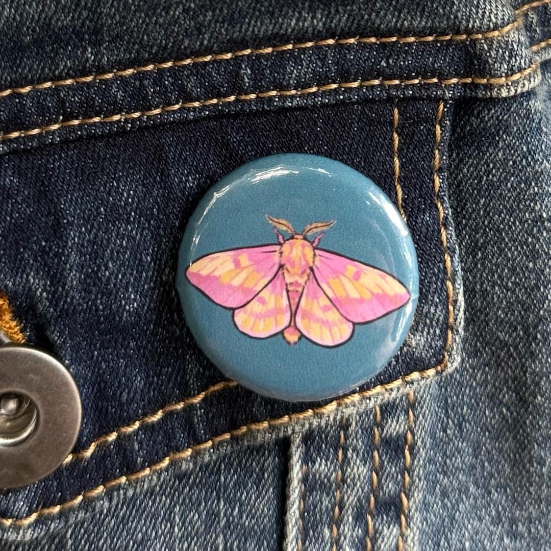 Rosy Maple Moth Button - 1.25" Pin Badge - Dryocampa Rubicunda - Cute ...
