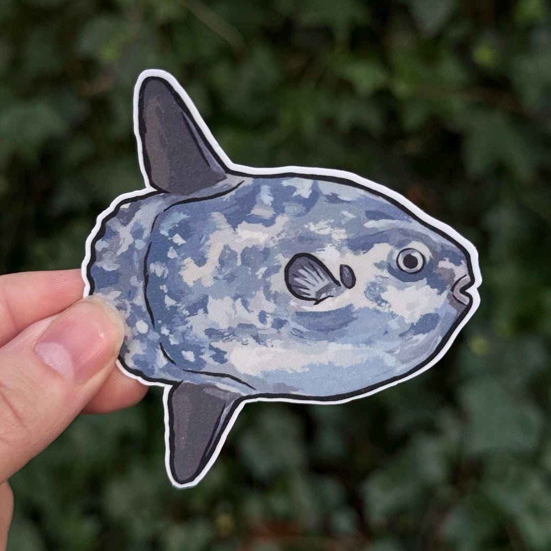 Ocean Sunfish Sticker - Mola Mola - Ugly Cute Fish Decal - Marine ...