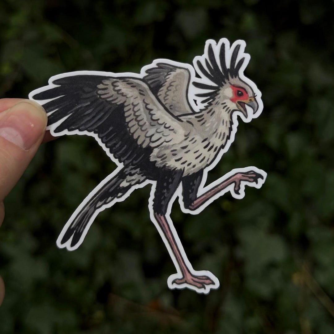 Secretary Bird Sticker - Sagittarius Serpentarius - Funny Bird Art ...