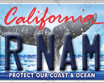 Whale License Plate | Etsy