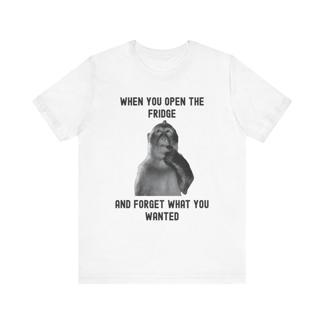 Funny Meme T-shirt, Fridge Forgetfulness, Relatable Humor - Etsy