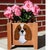 Cavalier King Charles Spaniel Planter Box Multiple Colors Available - Etsy
