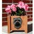 Cavalier King Charles Spaniel Planter Box Multiple Colors Available - Etsy