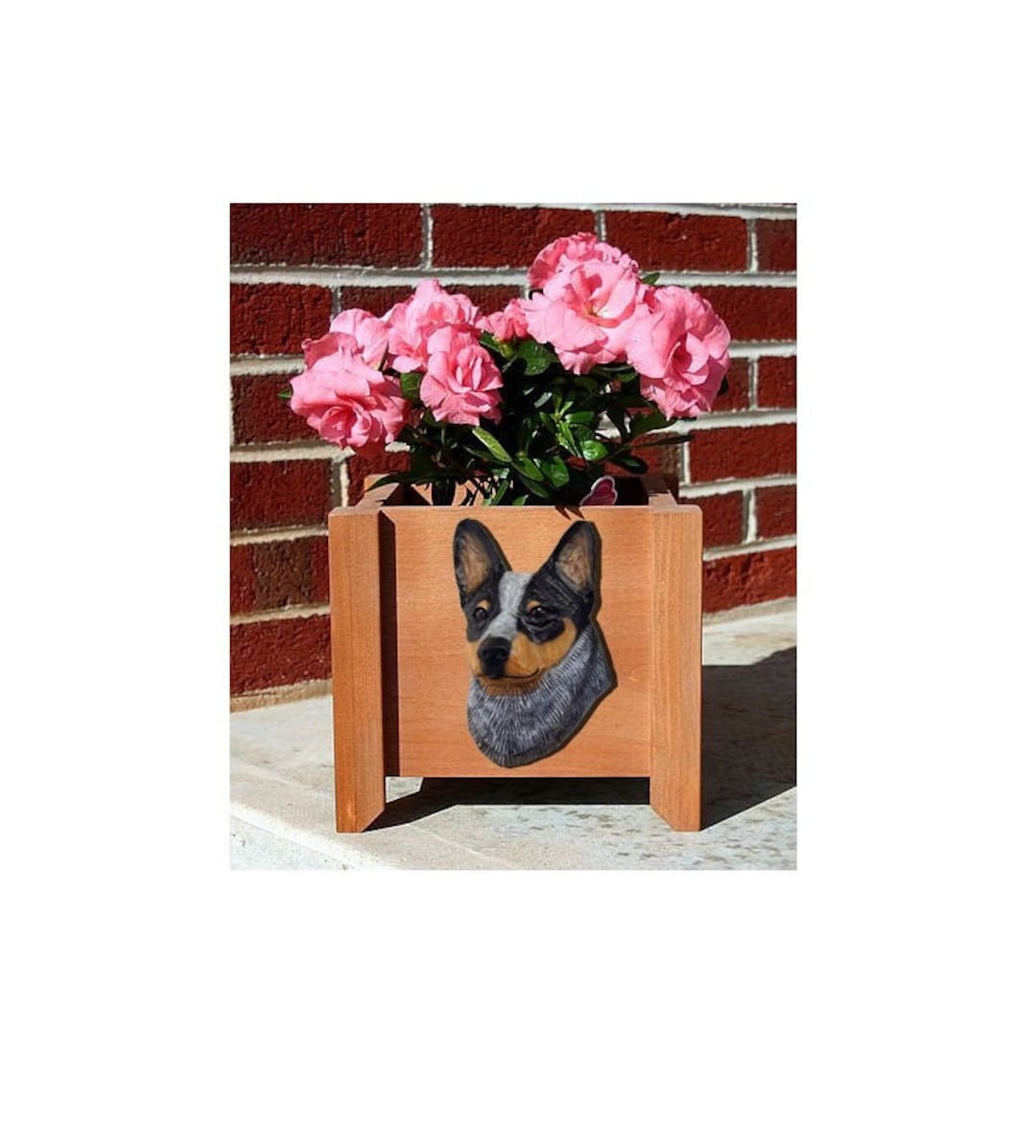 Australian Cattle Dog Planter Box - Multiple Colors Available - Etsy