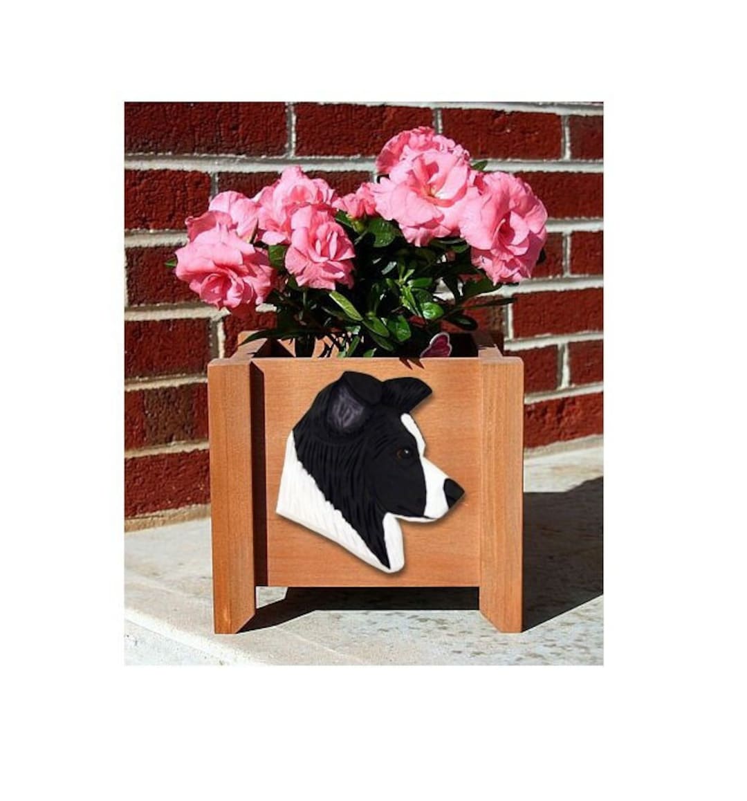 Border Collie Planter Box - Multiple Colors Available - Etsy