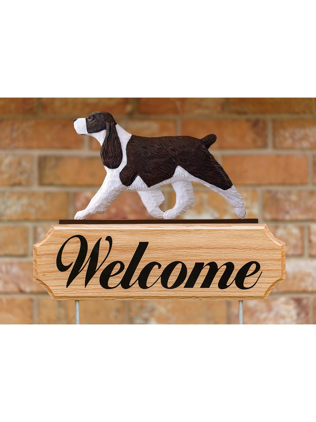 English Springer Spaniel DIG (dog in Gait) Welcome Stake - Multiple ...