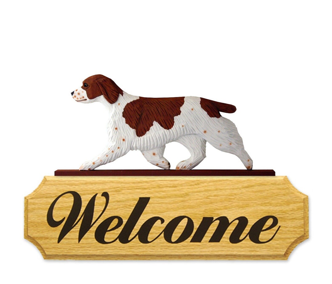 Welsh Springer Spaniel DIG Welcome Sign - Etsy