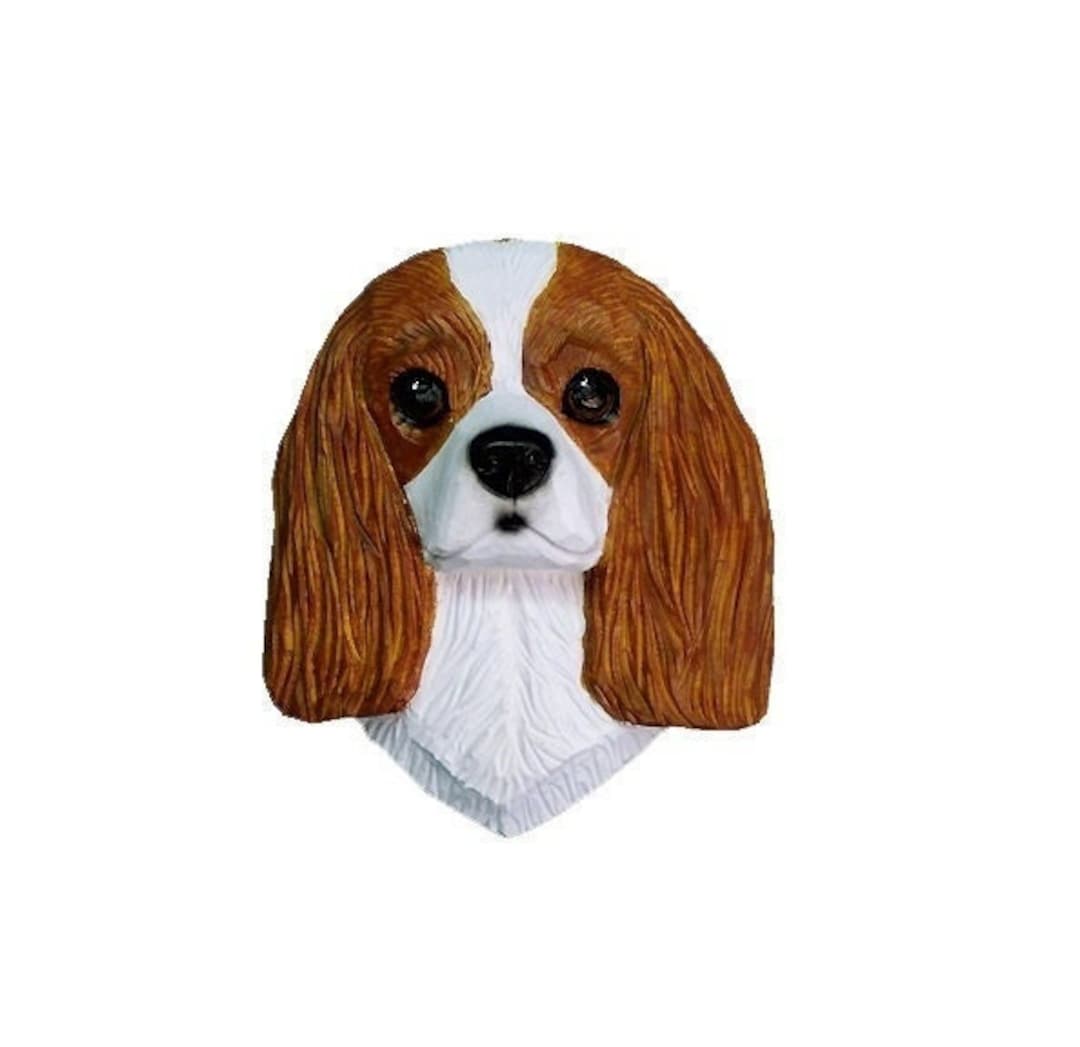 Cavalier King Charles Spaniel Head Study Wall Hanging - Multiple Colors ...