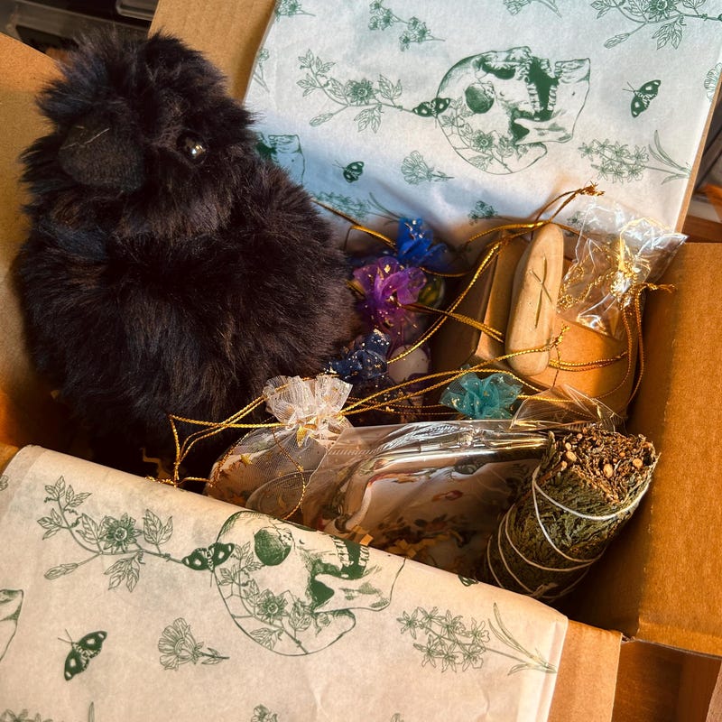 Capsule Mystery Boxes - Etsy