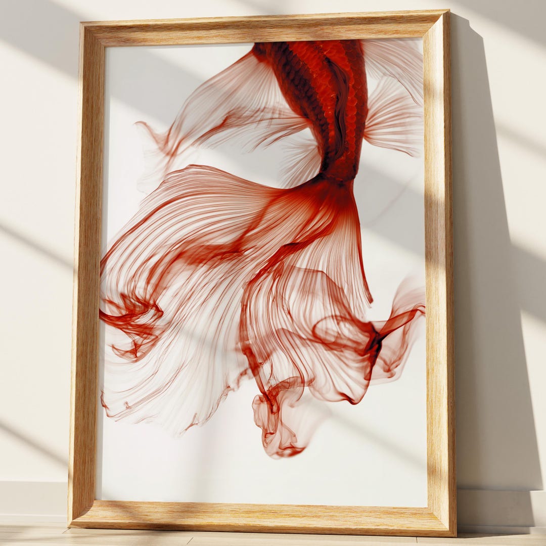 Japanese Goldfish Art Print, Kingyo Fins Photography, Abstract Red Fish ...