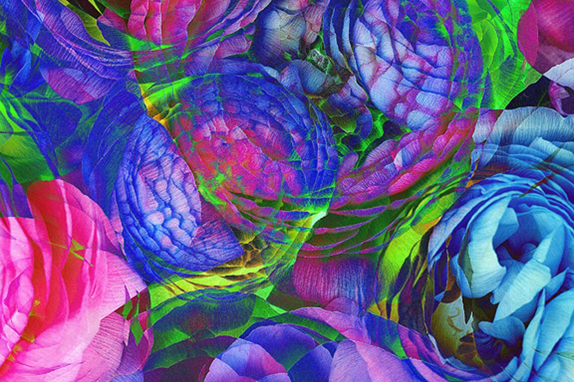 Floral Color Mash Graphic Art Print - Etsy