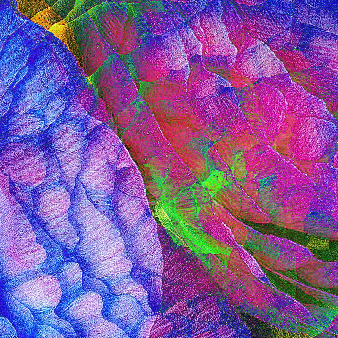 Floral Color Mash Graphic Art Print - Etsy